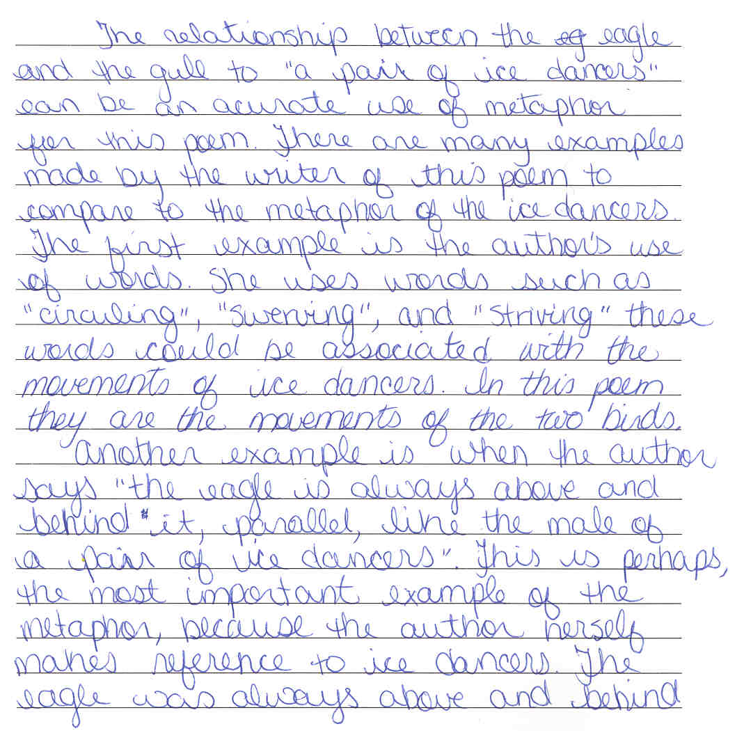 Graduation Program Exams